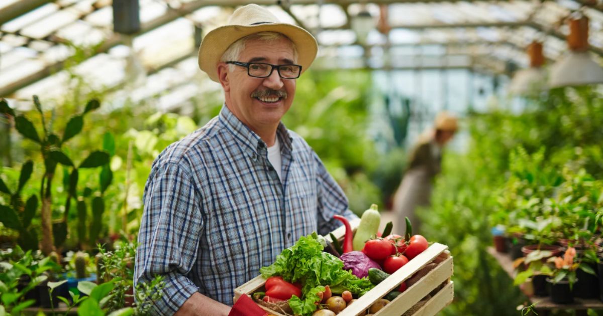 From farm to table: How to optimize cold chain logistics - Locate2u